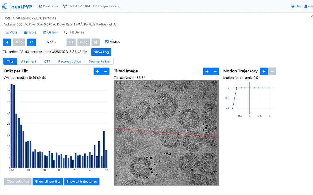 Tomography tutorial (EMPIAR-10164)