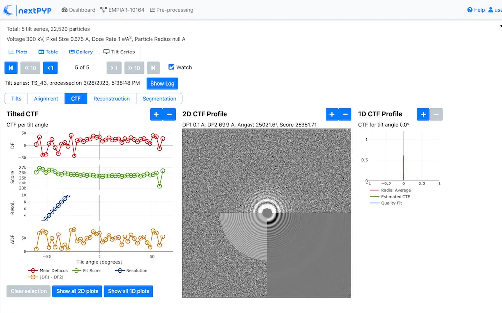Tomography tutorial (EMPIAR-10164)