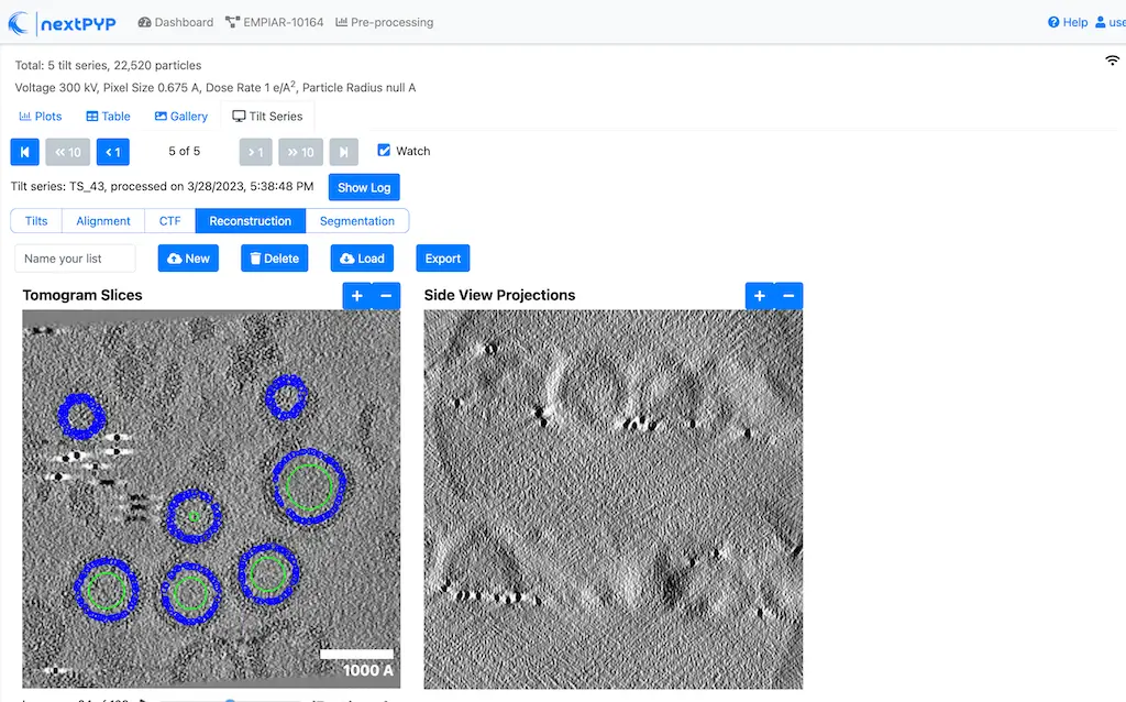 Tomography tutorial (EMPIAR-10164)